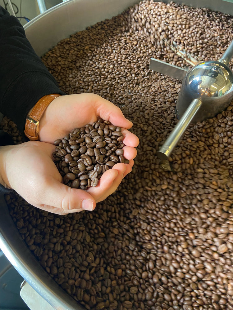 Cloud City Coffee – Cloud City Coffee Roasting